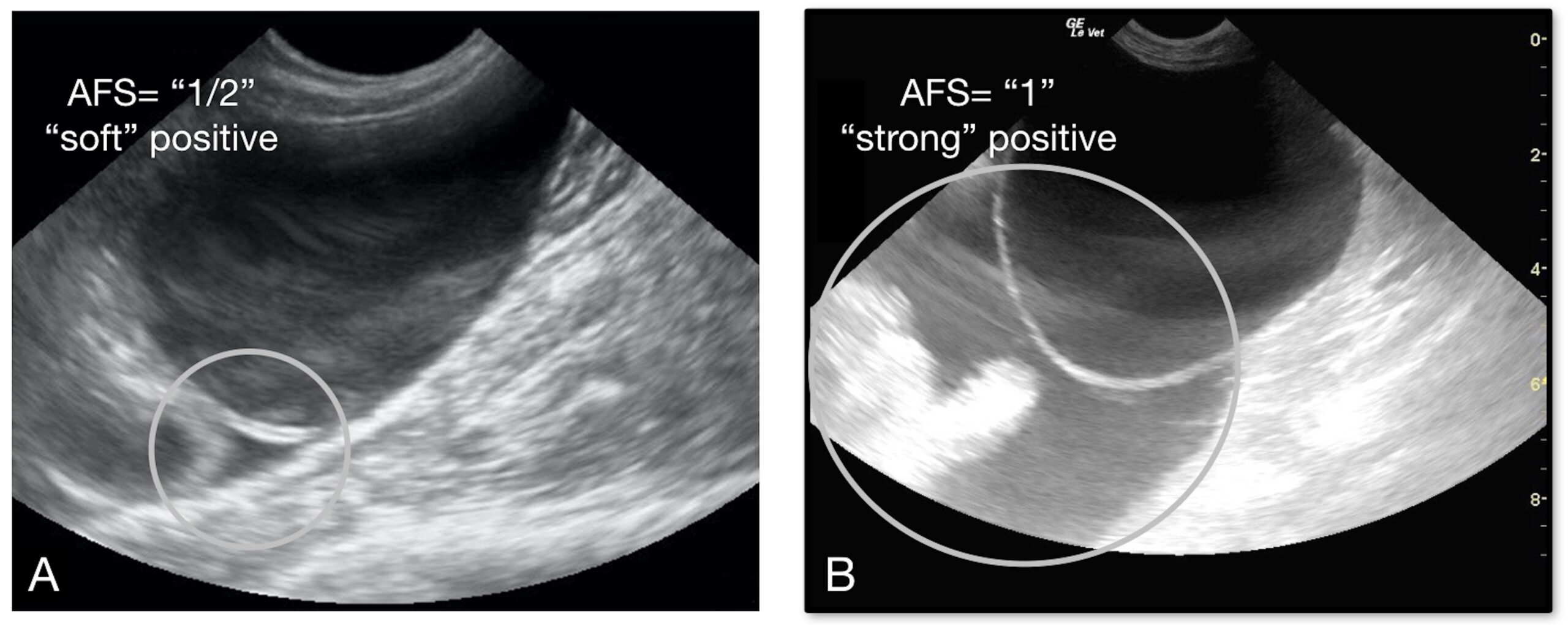 ECC and IM Blog - IMPORTANT News Flash - Modification of the AFAST ...