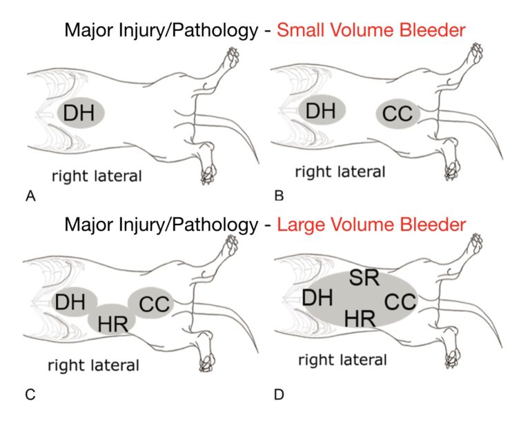 ECC and IM Blog – IMPORTANT News Flash – Modification of the Hemorrhage ...