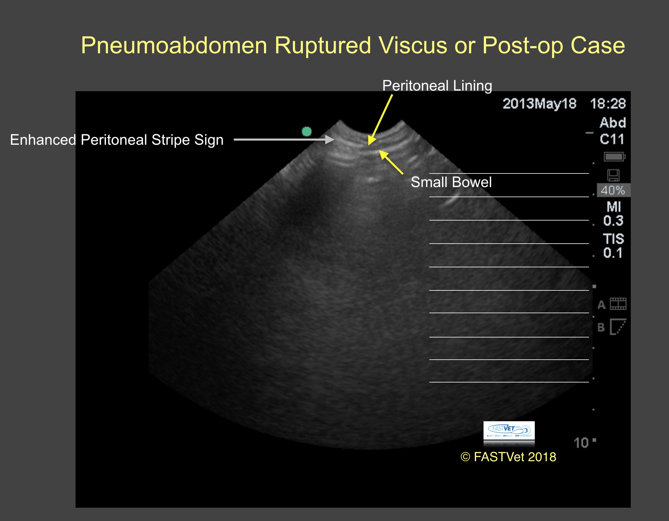 10 AFAST® Detection of Pneumoperitoneum - FASTVet