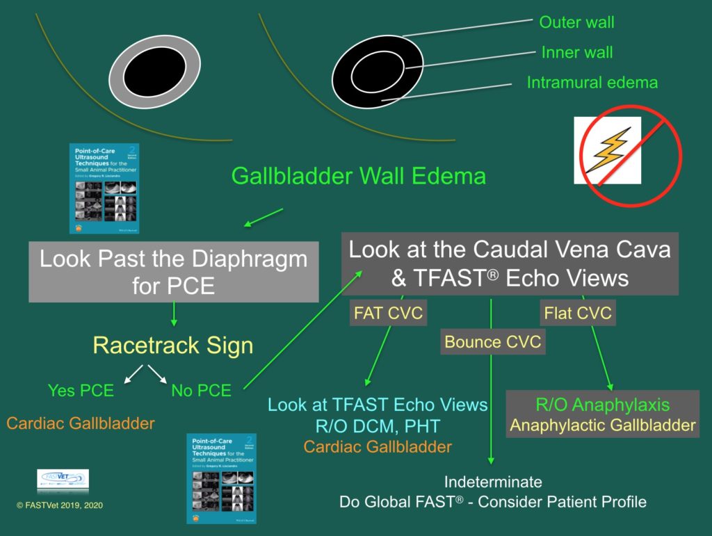 FASTVet Free Resources: Integrative Algorithm for Gallbladder Wall ...