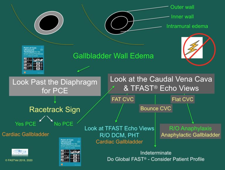FASTVet Free Resources: Integrative Algorithm for Gallbladder Wall ...