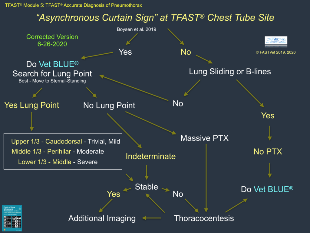 FASTVet 2020 Webinar Short - TFAST® Diagnosis and Management of ...