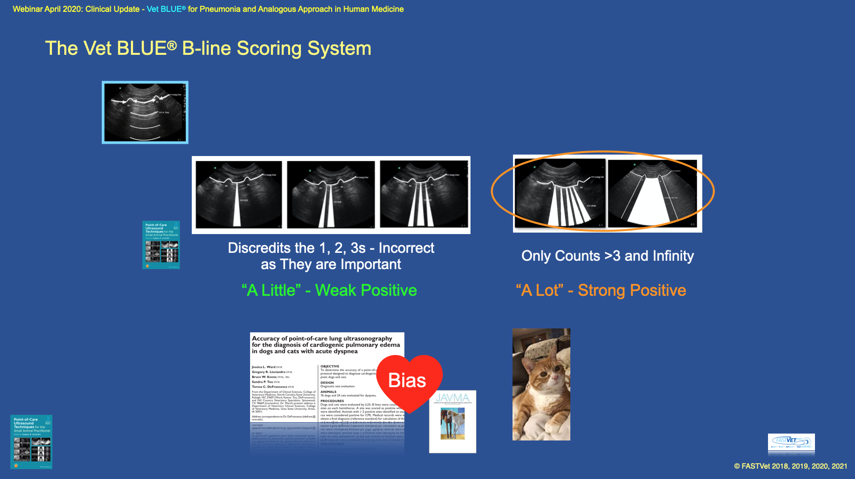 ECC and IM Blog, May 2022 - The Probe Matters for Vet BLUE® Lung ...