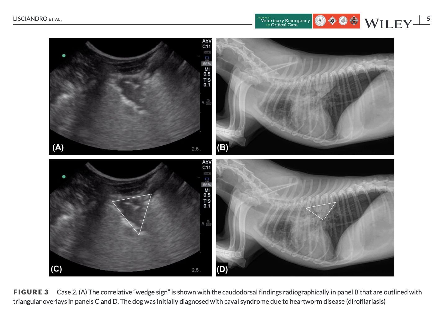 ECC and IM Blog, May 2022 - The Vet BLUE® Wedge Sign for Pulmonary ...
