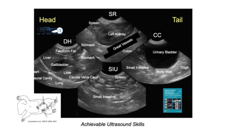 ECC and IM Blog - Introduction to AFAST® and How Far We've Come in 2022 ...