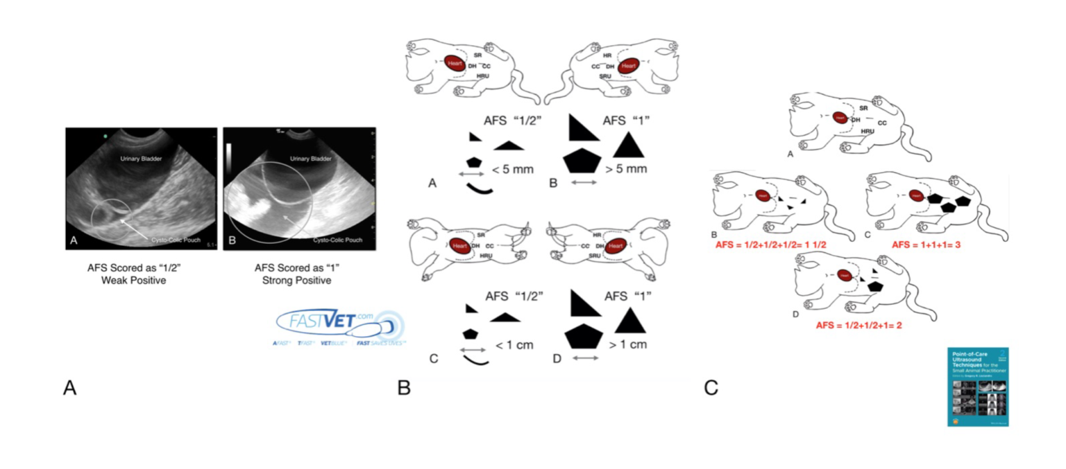 ECC and IM Blog - AFAST® and Its Abdominal Fluid Scoring System Dogs ...
