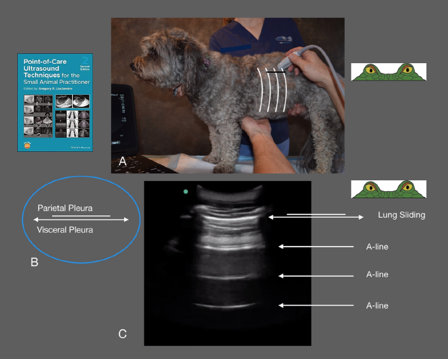 Understanding Vet BLUE®: FASTVet Supplemental Tables and Figures for ...