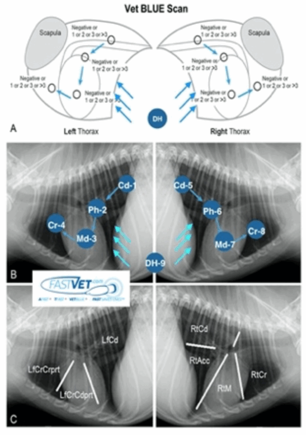 Understanding Vet BLUE®: FASTVet Supplemental Tables and Figures for ...