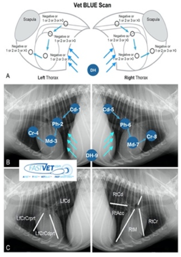 Understanding Vet BLUE®: FASTVet Supplemental Tables and Figures for ...