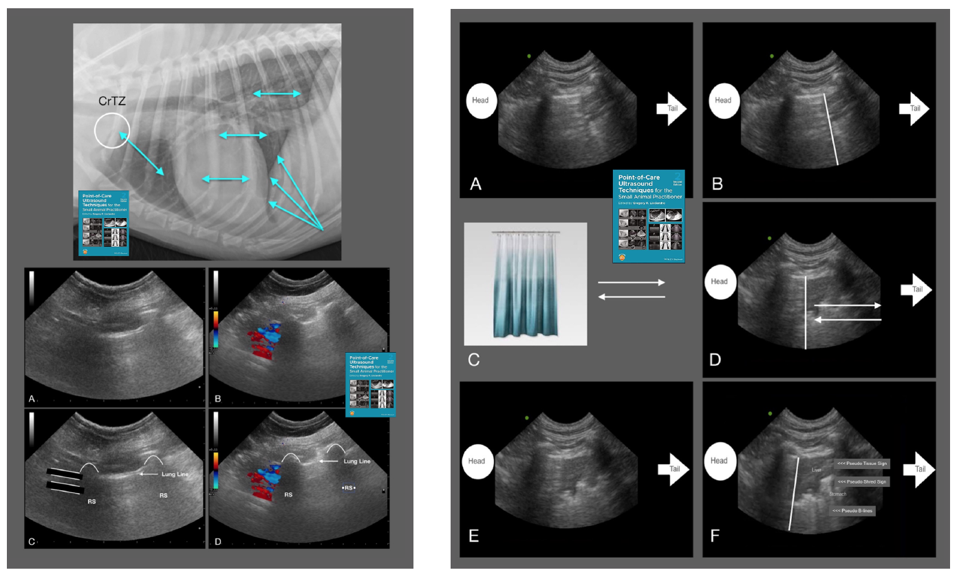 Understanding Vet BLUE®: FASTVet Supplemental Tables and Figures for ...