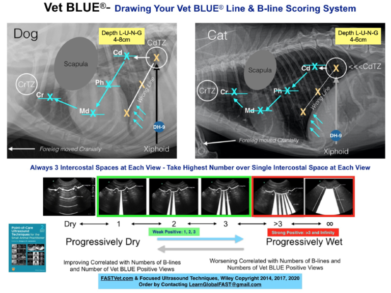 Understanding Vet BLUE®: FASTVet Supplemental Tables and Figures for ...