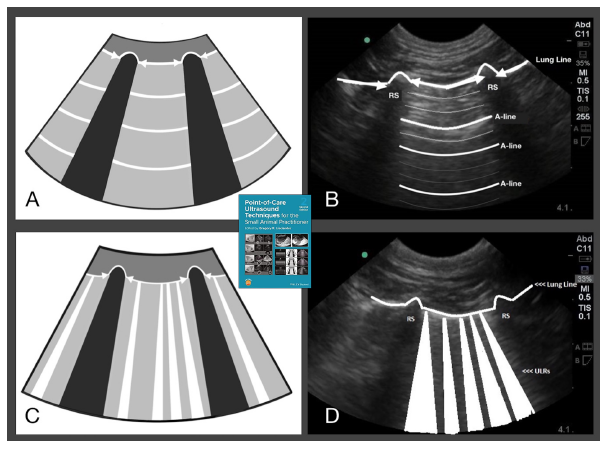 Understanding Vet BLUE®: FASTVet Supplemental Tables and Figures for ...