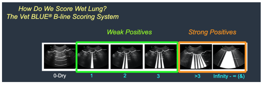 Understanding Vet BLUE®: FASTVet Supplemental Tables and Figures for ...