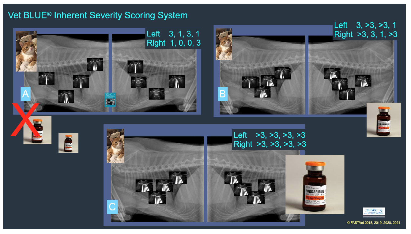 Understanding Vet BLUE®: FASTVet Supplemental Tables and Figures for ...