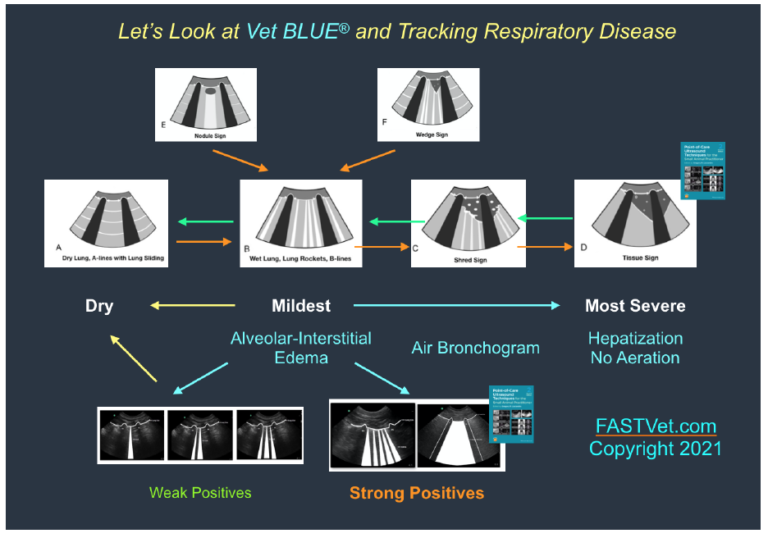 Understanding Vet BLUE®: FASTVet Supplemental Tables and Figures for ...