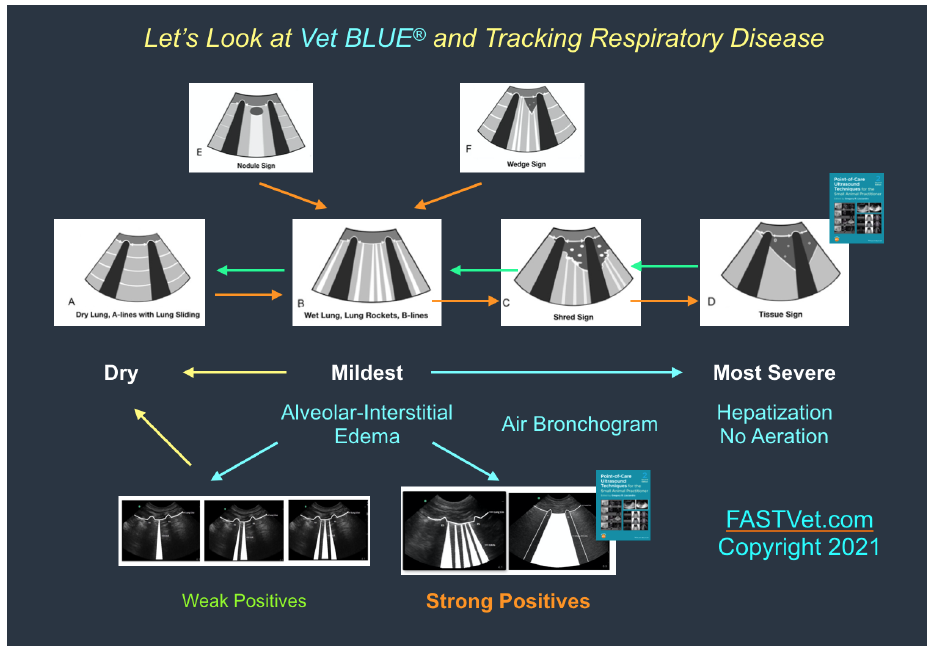 Understanding Vet BLUE®: FASTVet Supplemental Tables and Figures for ...