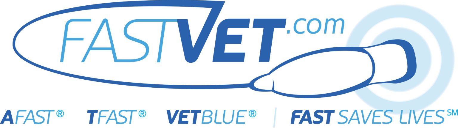 Global FAST® Course Curriculum for Hybrid - Remote Lectures - Hands-on ...