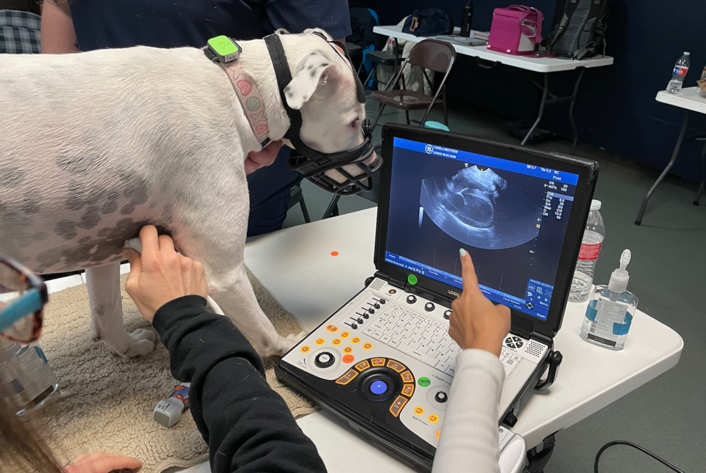 Global FAST® Course Curriculum for Hybrid - Remote Lectures - Hands-on ...