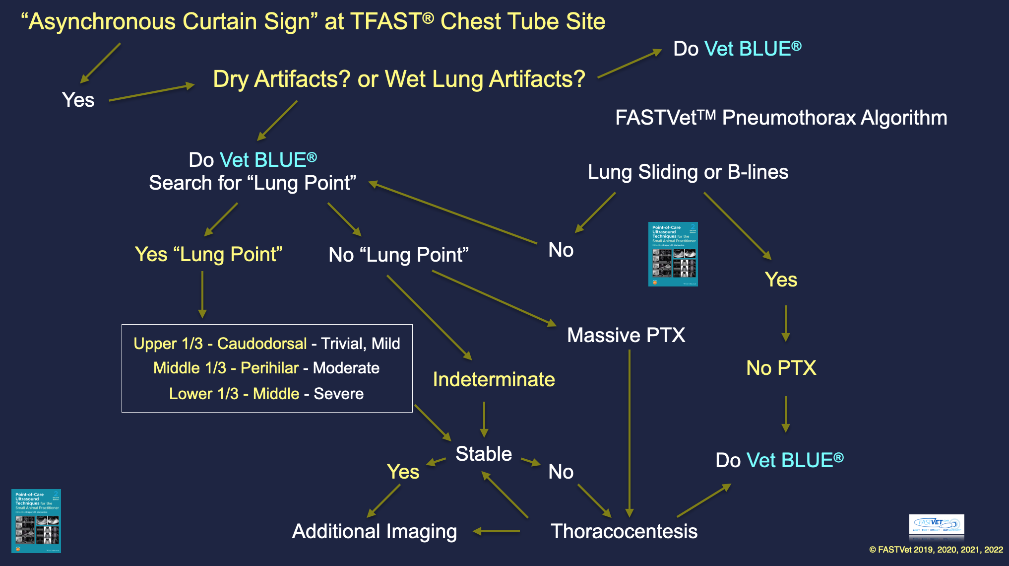 FASTVet 2020 Webinar Short - TFAST® Diagnosis and Management of ...