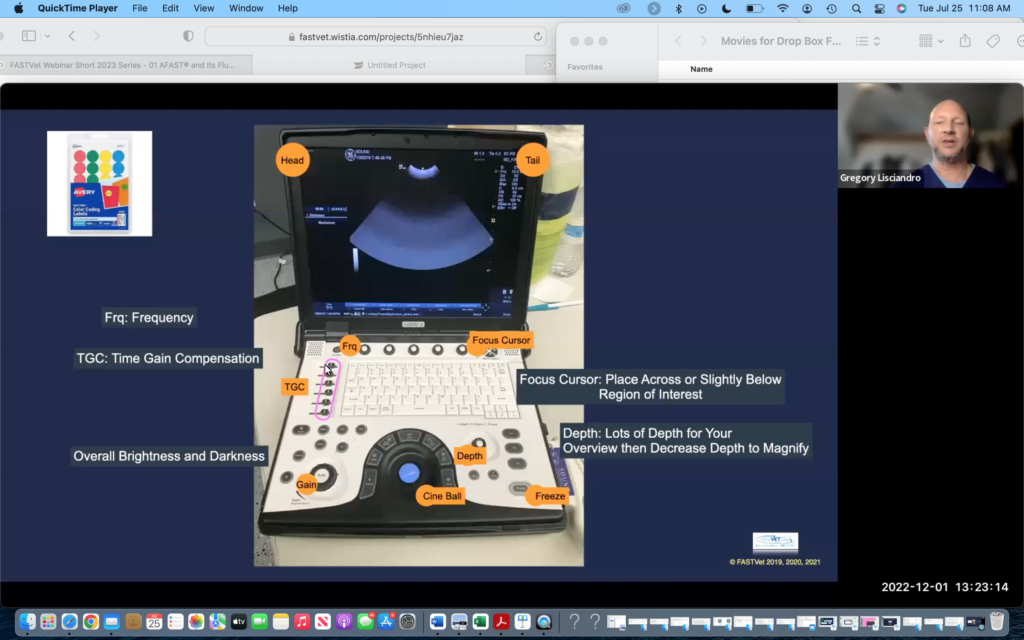 Ettinger 9th Edition Webinar Shorts - 06 AFAST® and Ultrasound Machine ...
