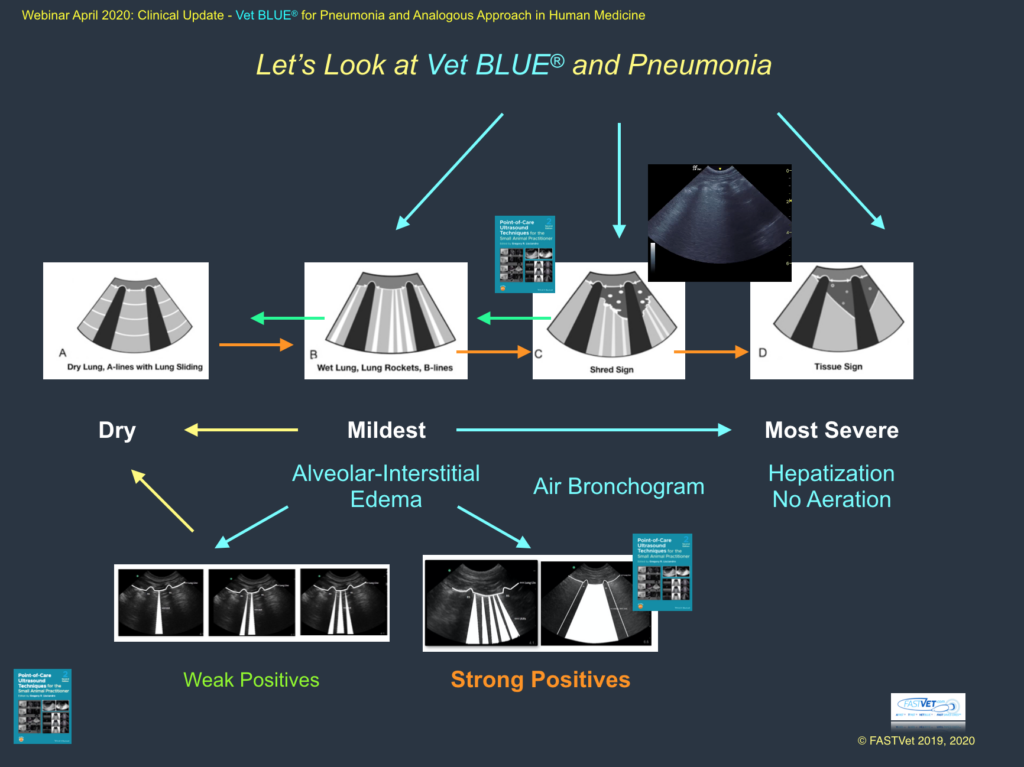 IVECCS 2023 Poster - The Frequency of Aspiration Pneumonia Using the ...
