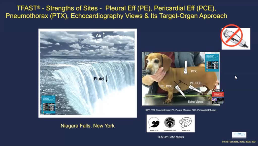 Ettinger 9th Edition Webinar Shorts 01 Tfast® And Its 5 Views Their Strengths And What Can Do