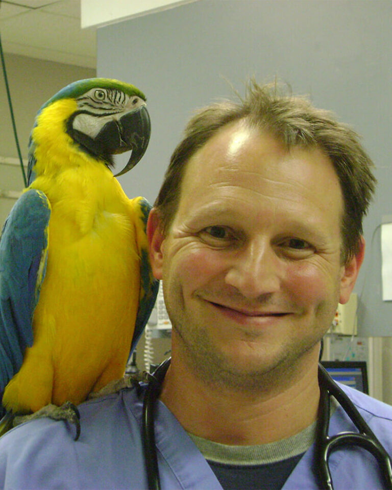 Point-of-Care Ultrasound Training for Vets | Dr. Gregory Lisciandro