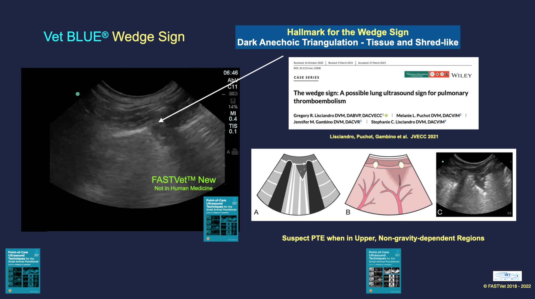Internal Medicine Blog: Vet BLUE® Lung Ultrasound Case Study - Fungal ...
