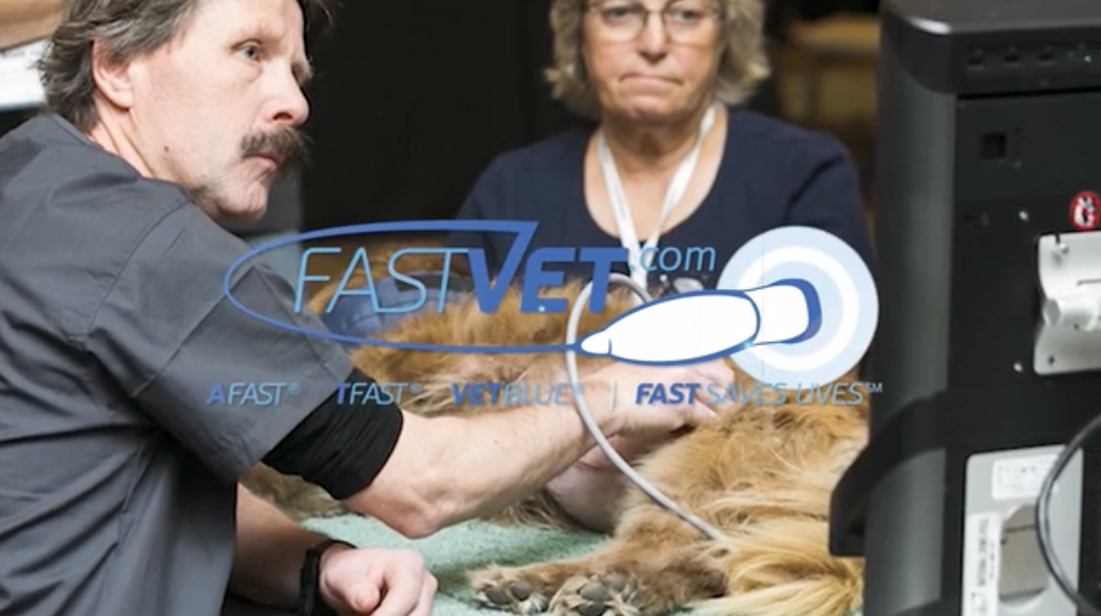 FASTVet Global FAST® Course - How It Will Change the Way You Practice ...